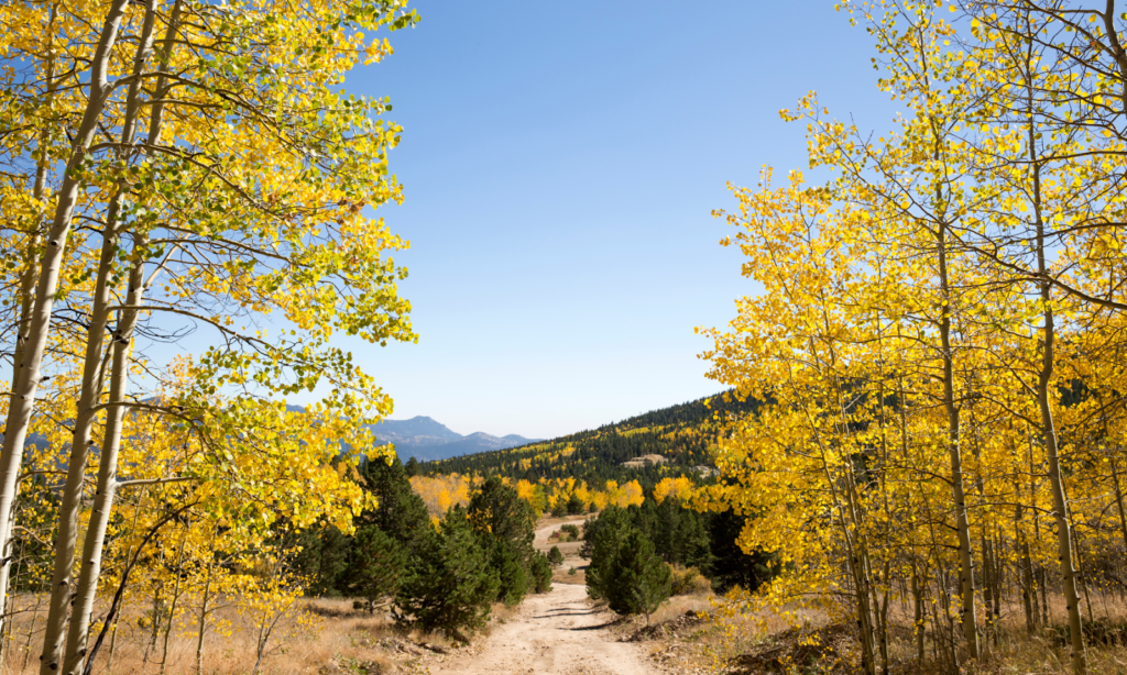 Why You Should Visit Colorado Springs in the Fall - Pikes Peak Bike Tours